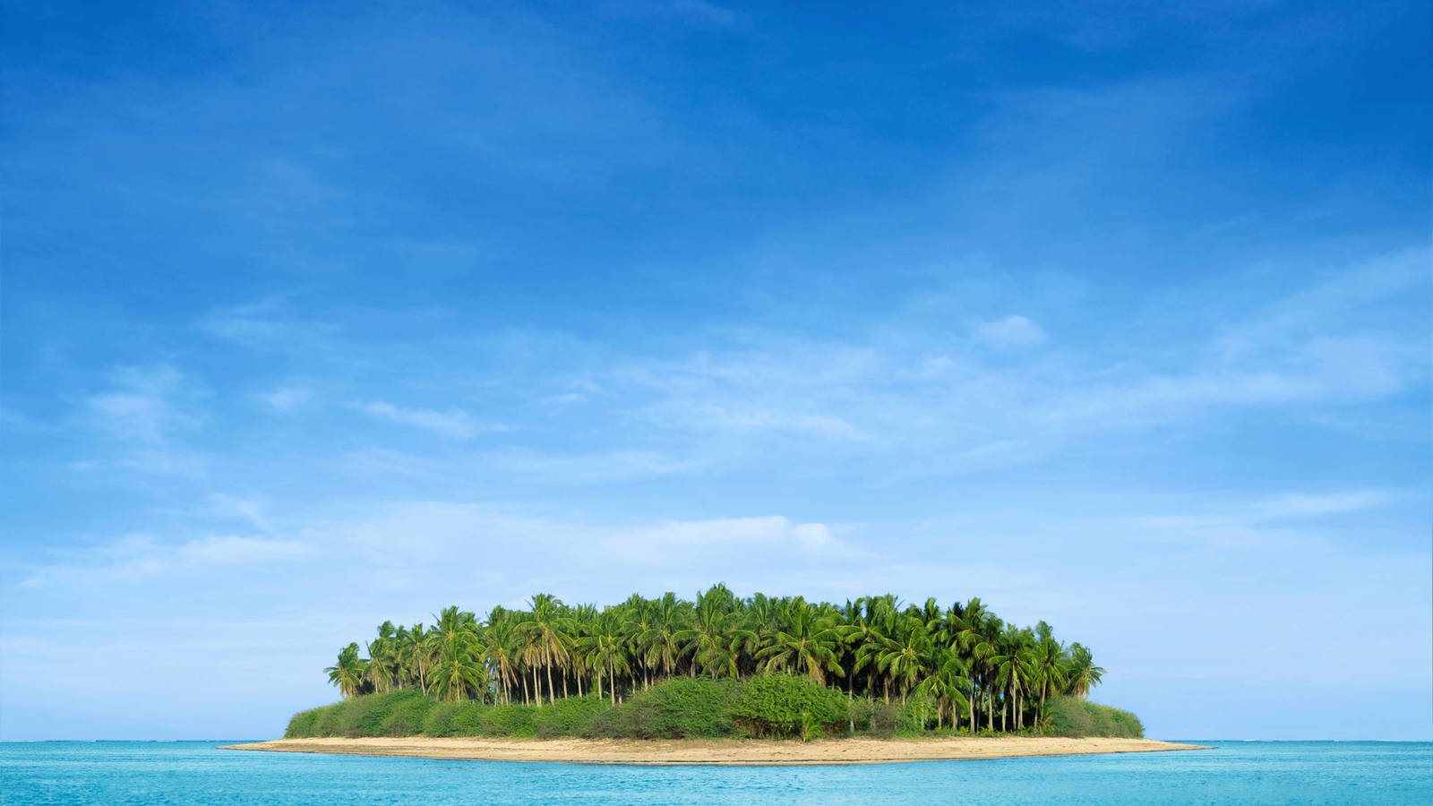 Escapemos de la isla – El blog del profe José